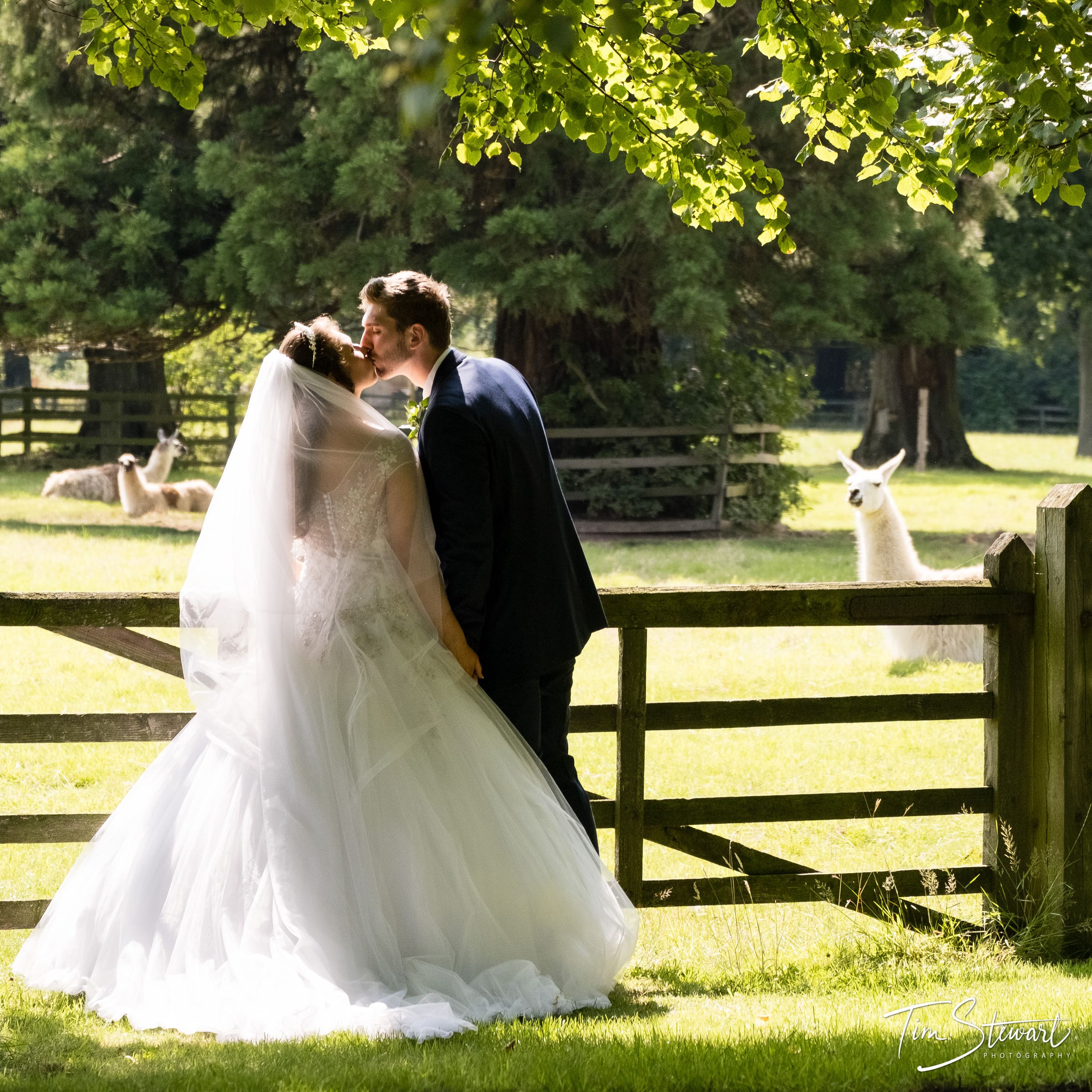 Tim Stewart Photography