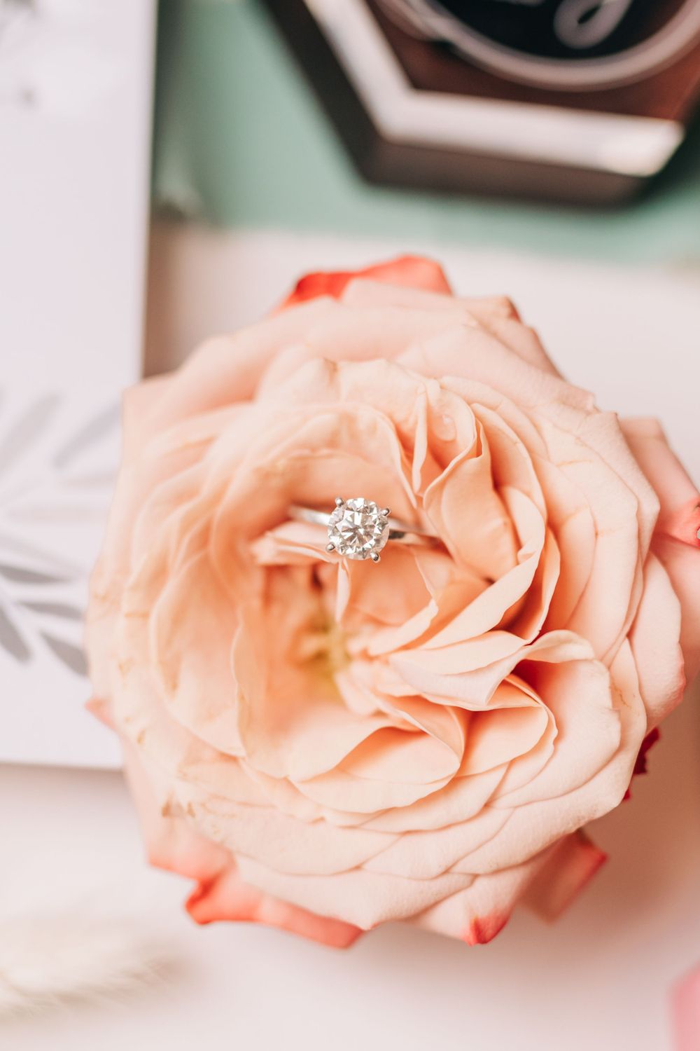 Wedding | Jess + Ryan - Taurie Studd Photography