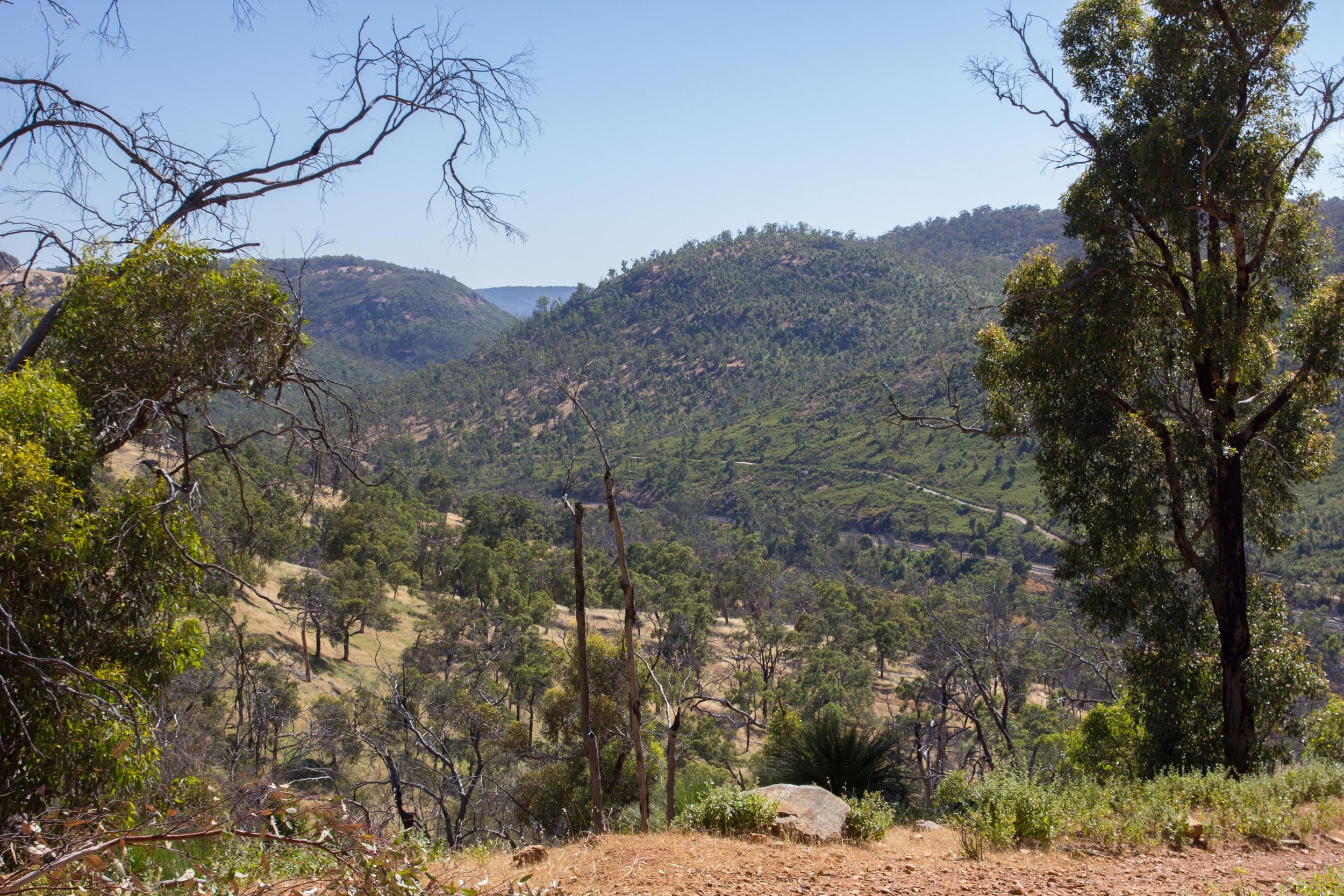 Walyunga National Park - CJ Photo