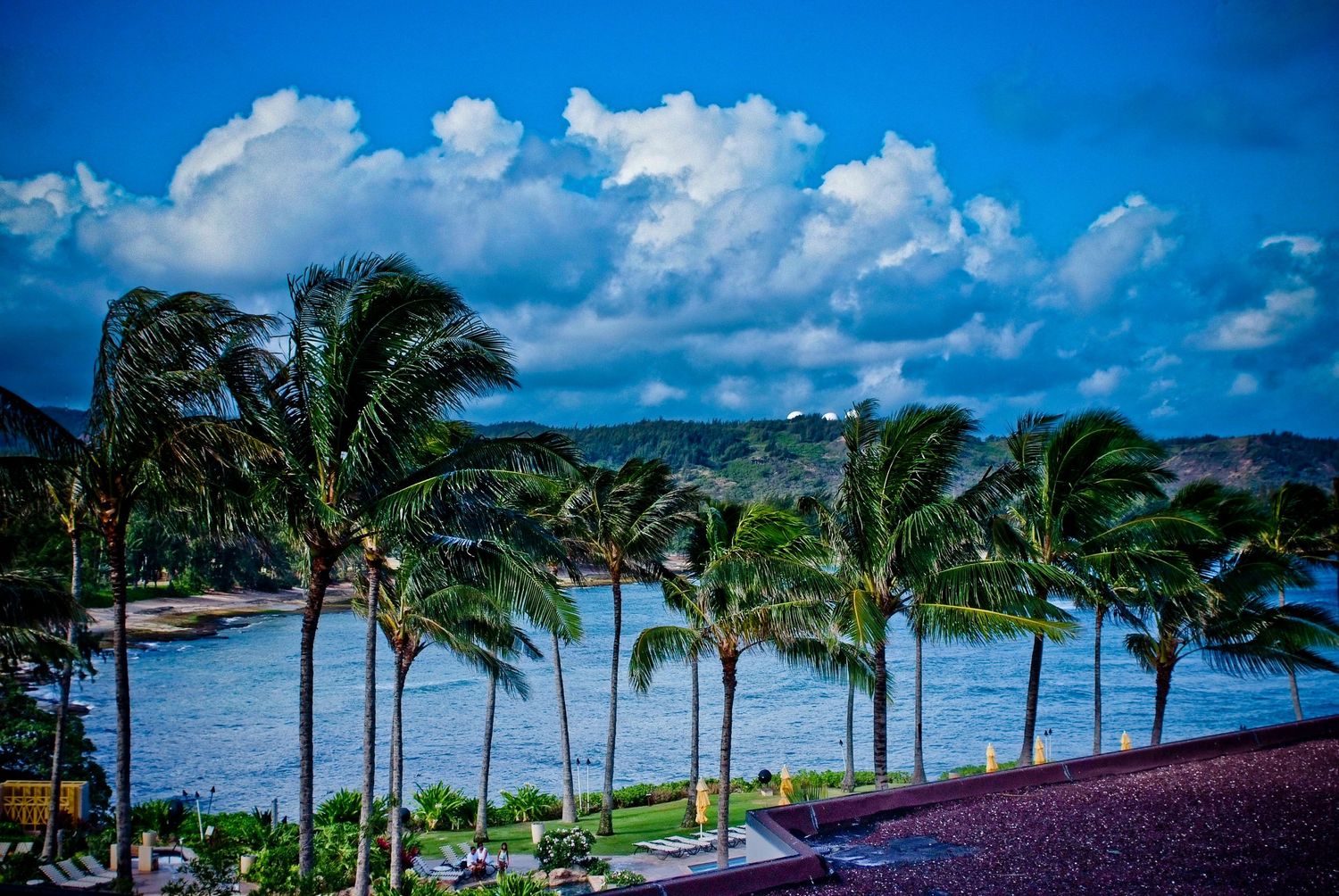 Hawaii - Joe Panella