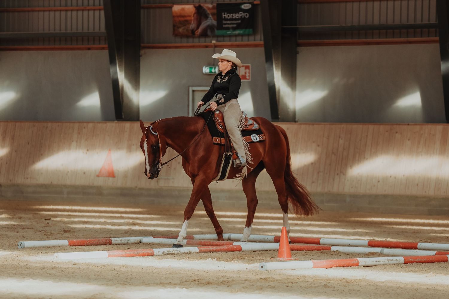 Dive with me into the western riding world - Anna Archinger Photography