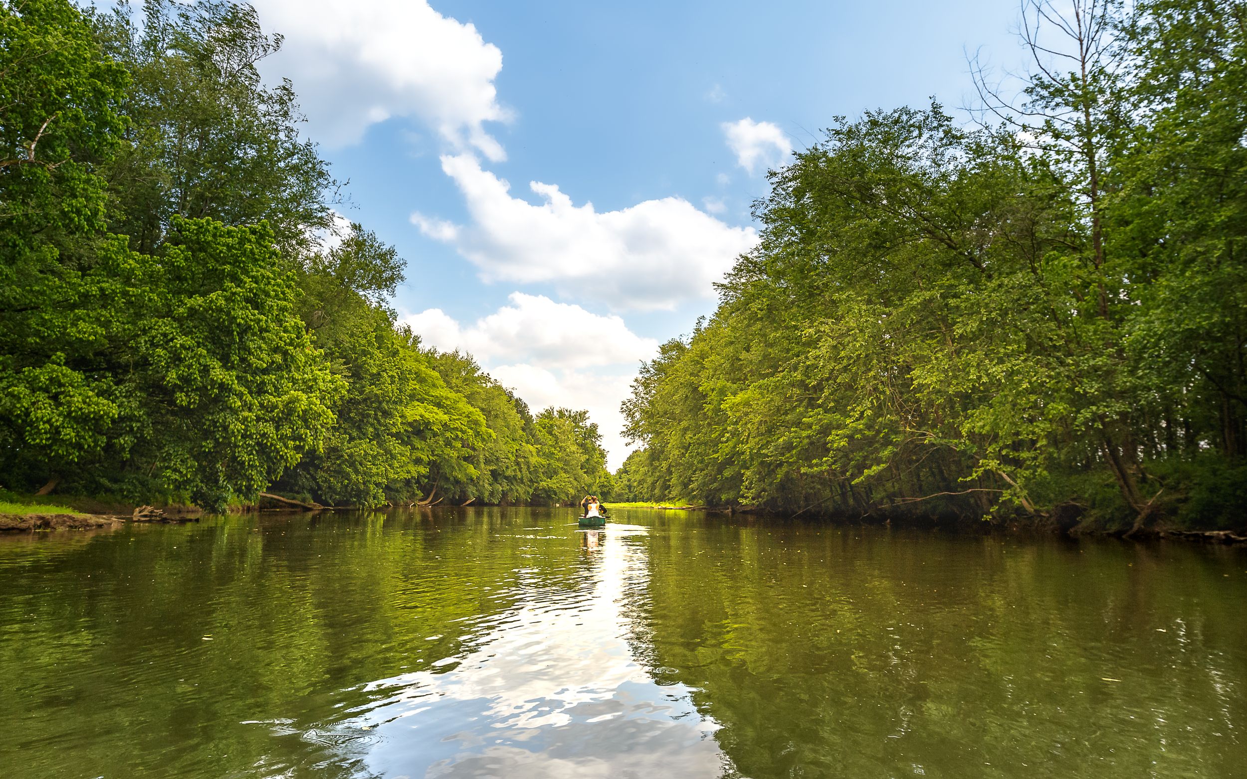 THE CONASAUGA RIVER PROJECT - True Capture Studios
