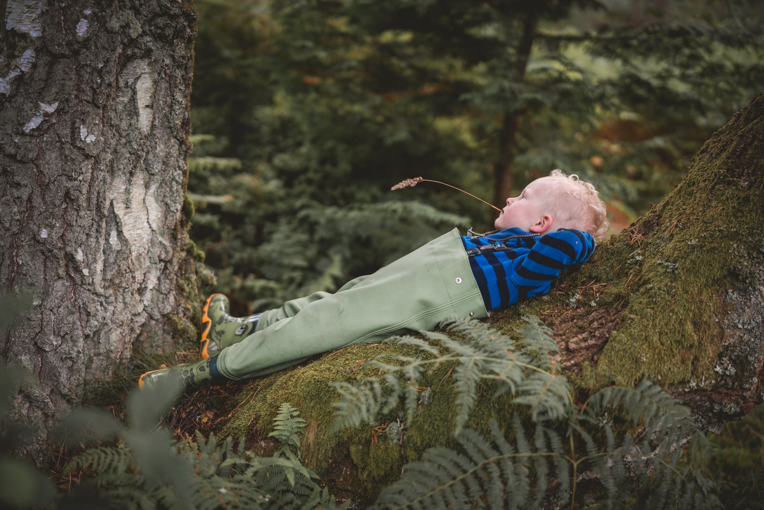 The Benefits of Foraging - The Grizzly Forager: The Definitive Guide to ...