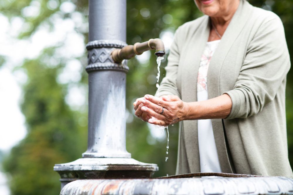 Healthy - Michael Orlik