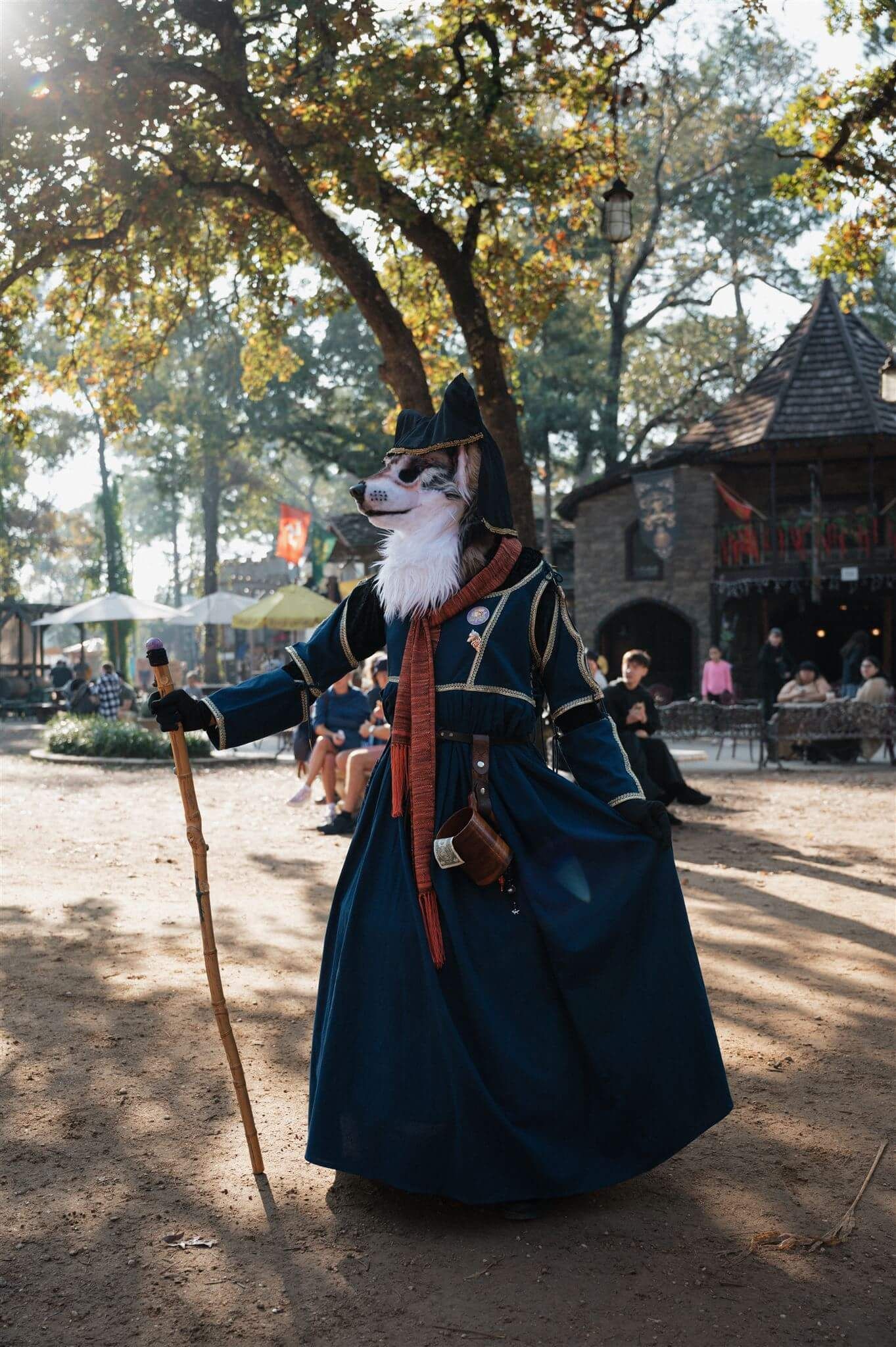 Medieval Theme Wedding at Texas Renaissance Festival