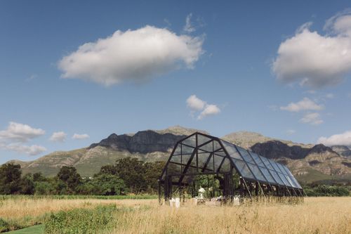 Allanah & Henry | Blaauwklippen - Jenni Elizabeth