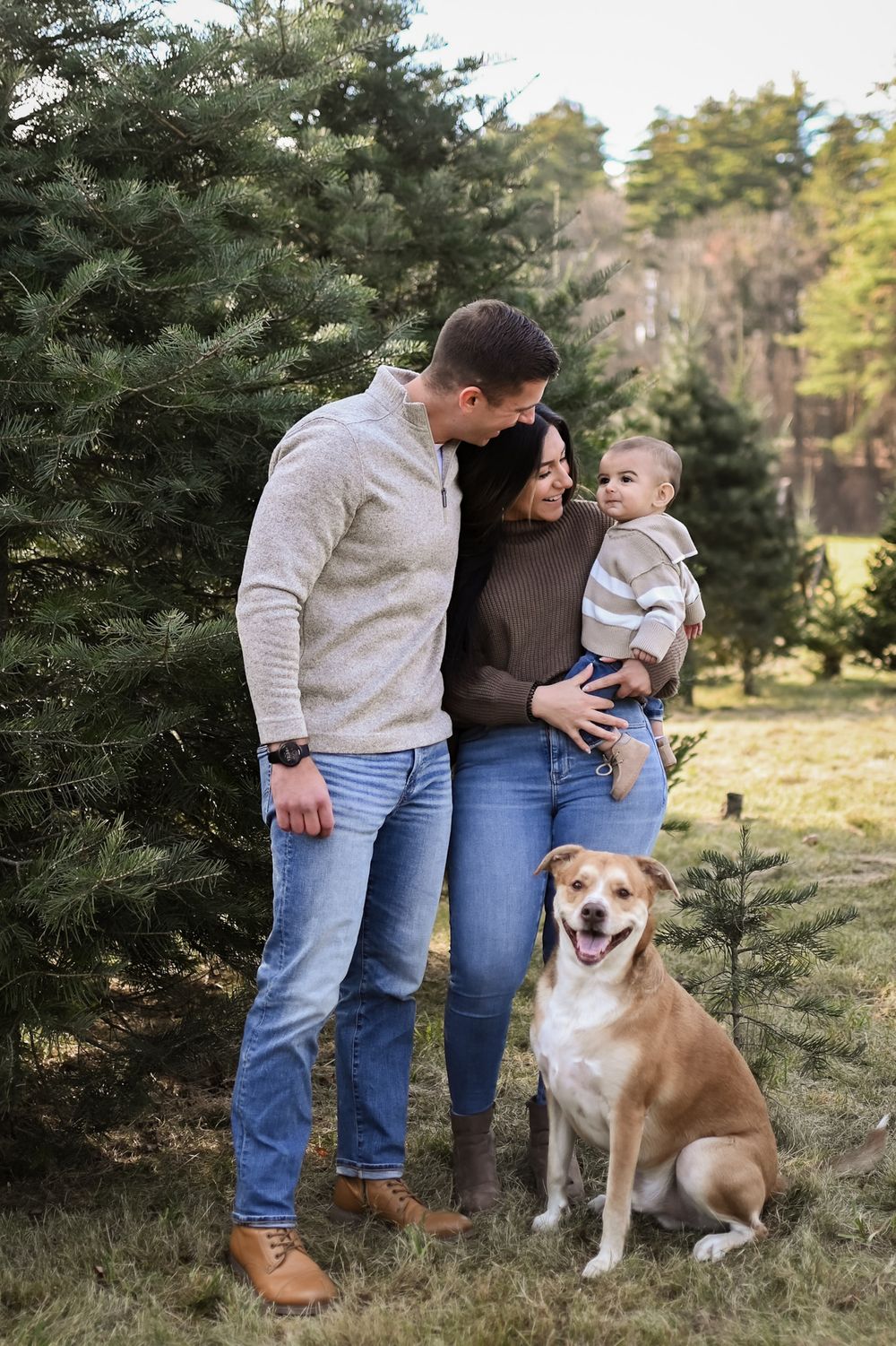 Massachusetts Lifestyle Family Photographer | Melissa Briggs