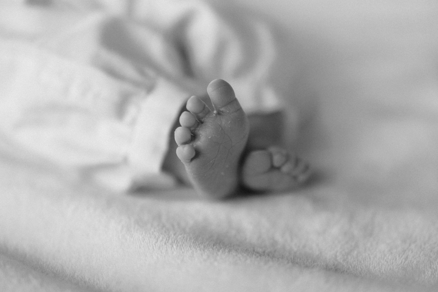 TAYLOR DANOS PHOTOGRAPHY