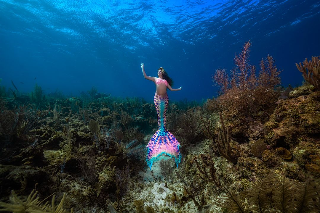PADI Mermaid Certification - Submerge