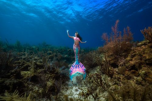 PADI Mermaid Certification – Learn to Swim, Breathe, and Move Like a ...