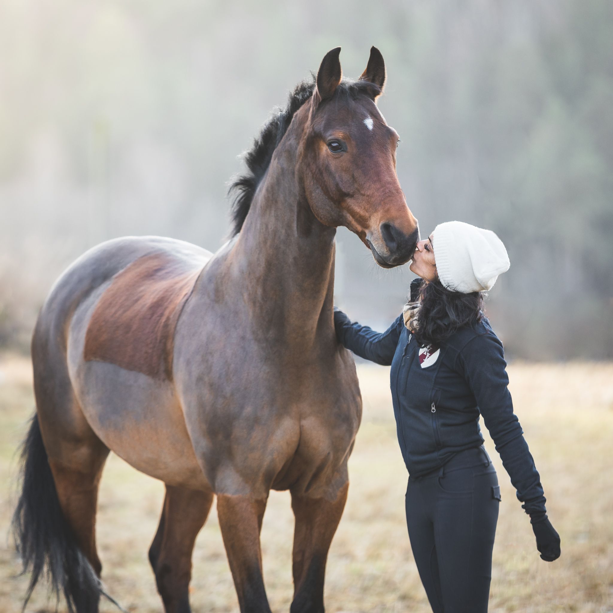 Hästfotograf Stockholm - Bröllop- och företagsfotograf i Stockholm ...