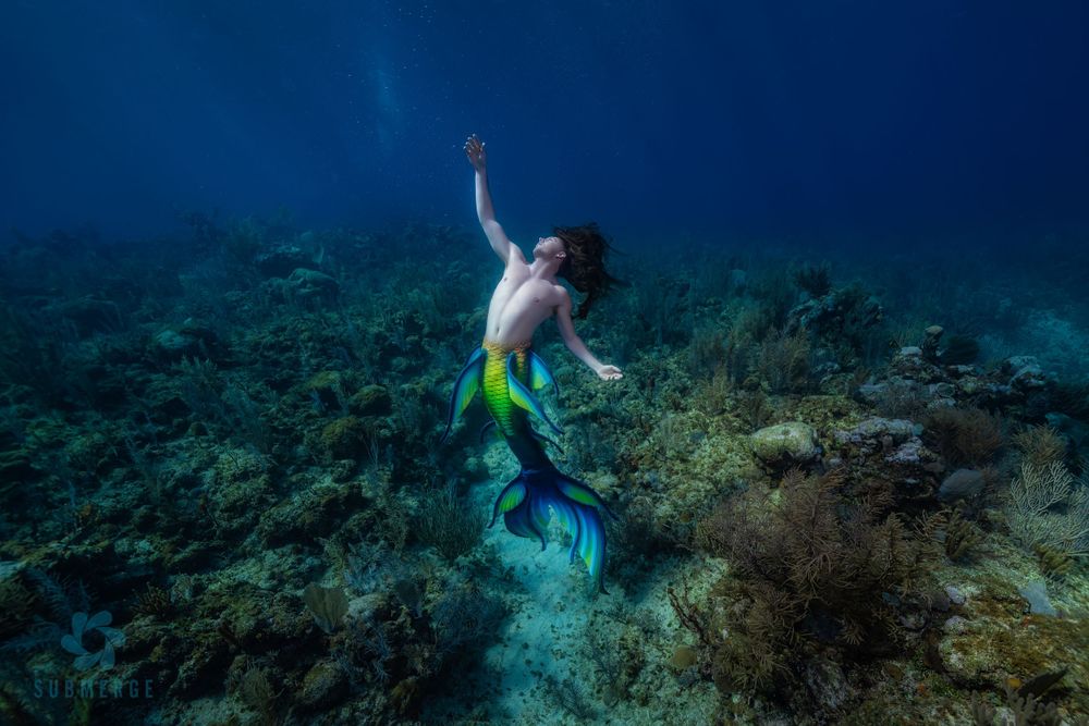 PADI Mermaid Certification - Submerge