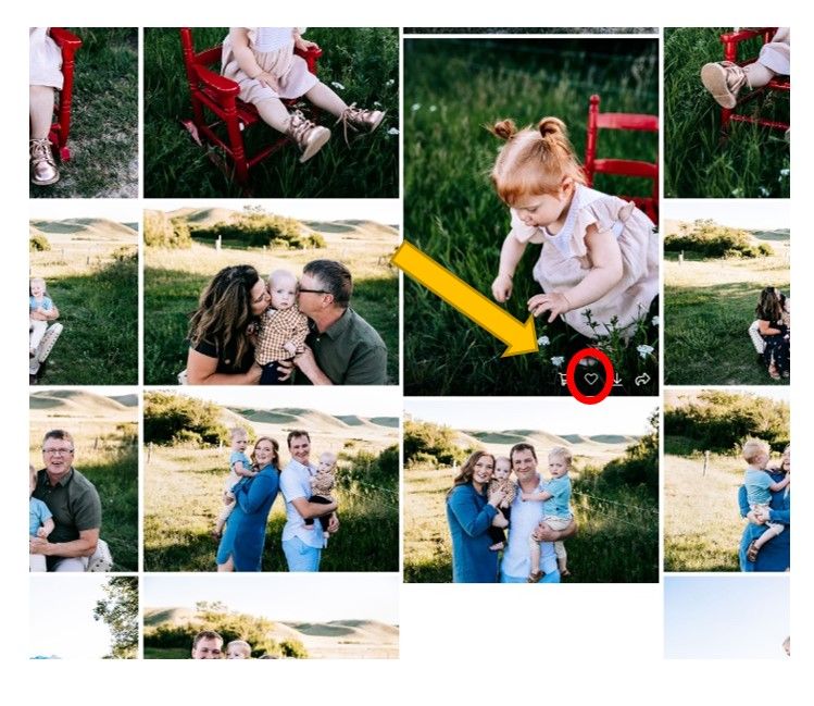 Pixieset Gallery Guide - This Little Light Photography