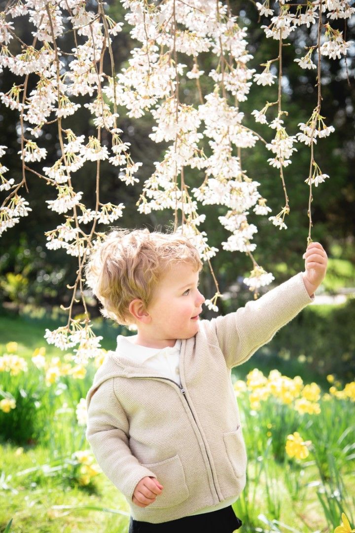 Outdoor Family Photoshoots - Ben Cassidy Family Photography