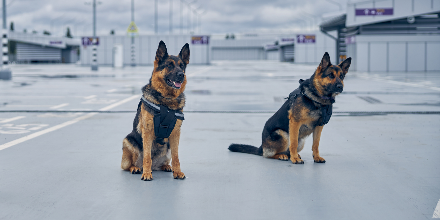 Security Dogs - Spartacus Security Ltd
