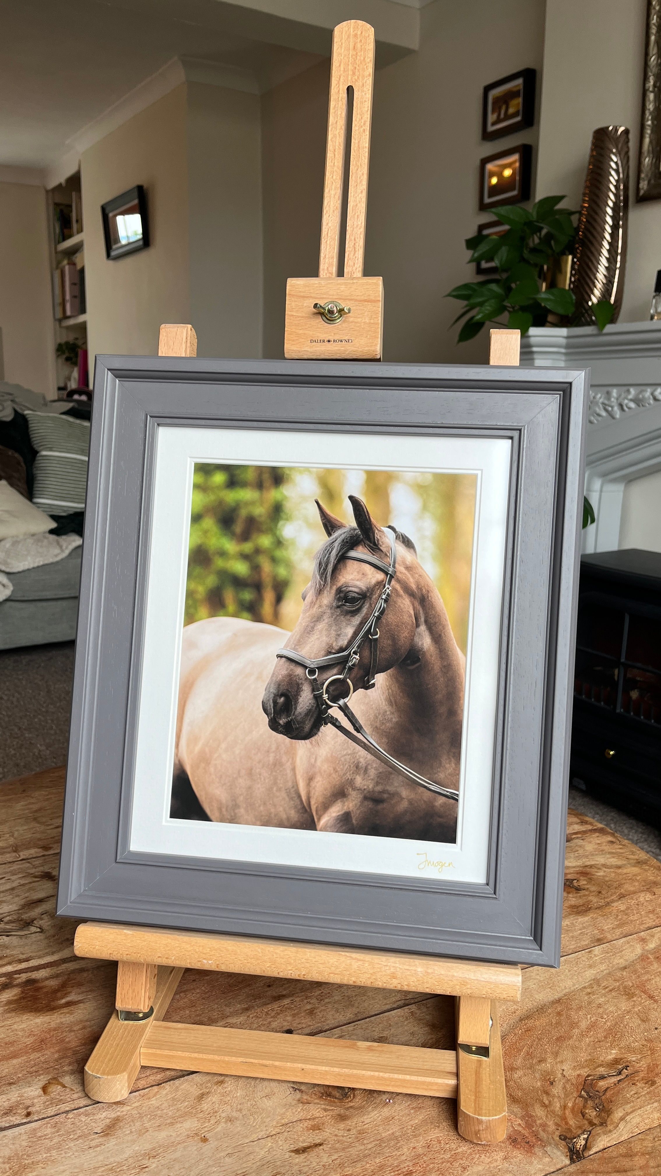 Emma, Scarlett & Maddie - Imogen Moon ABIPP - Equine & Dog Photographer ...