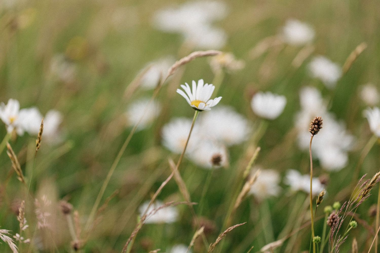 Contact - Rachel Hayton Photography