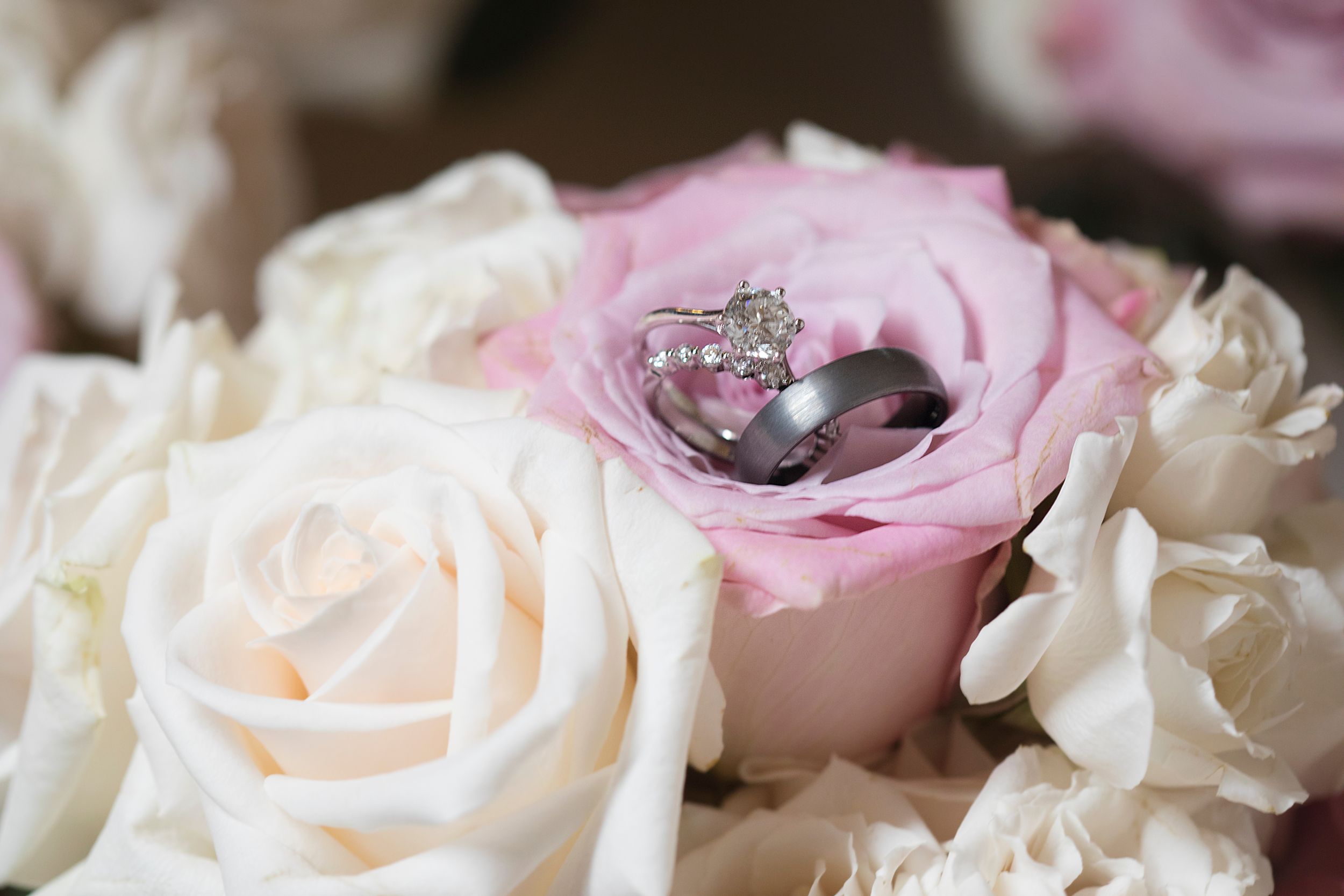 Experience - Meredith Rowlen Photography