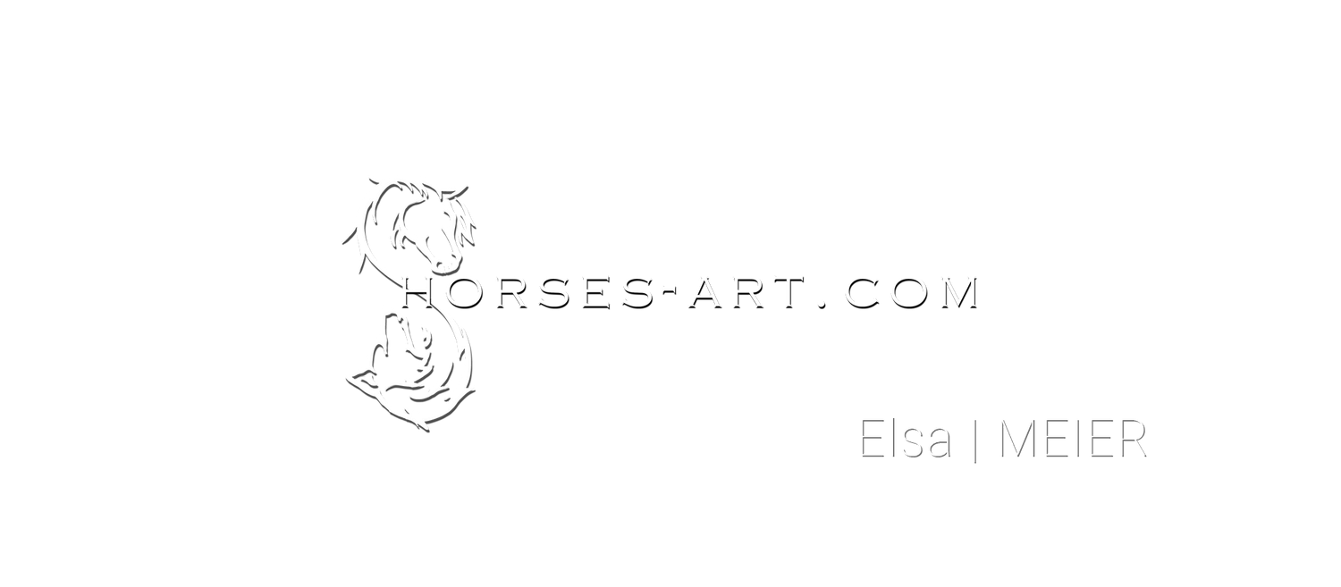 Conditions Générales de Vente & Politique de Confidentialité - Horses ...