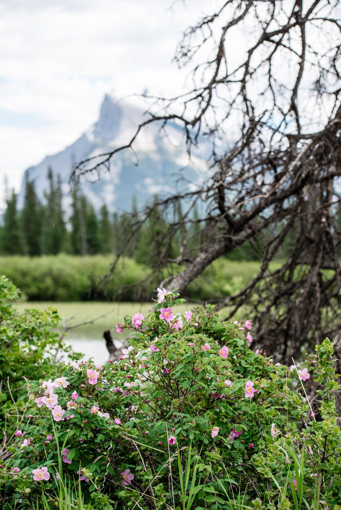 landscapes - five|one|nine photography