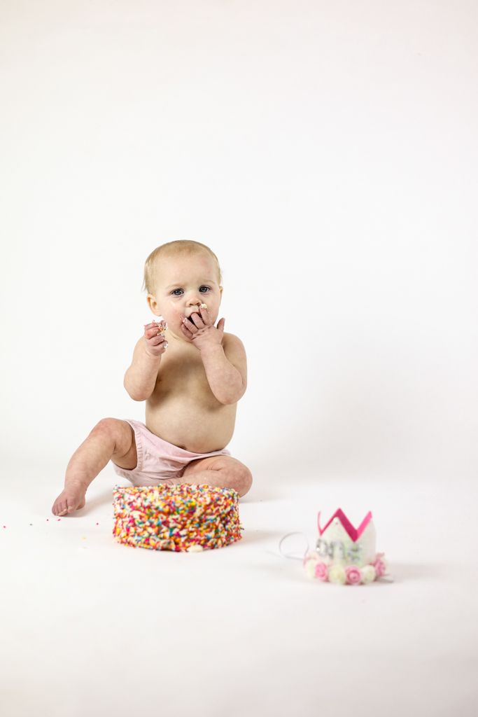 Minis & Milestones - Emily Washburn Photography, LLC