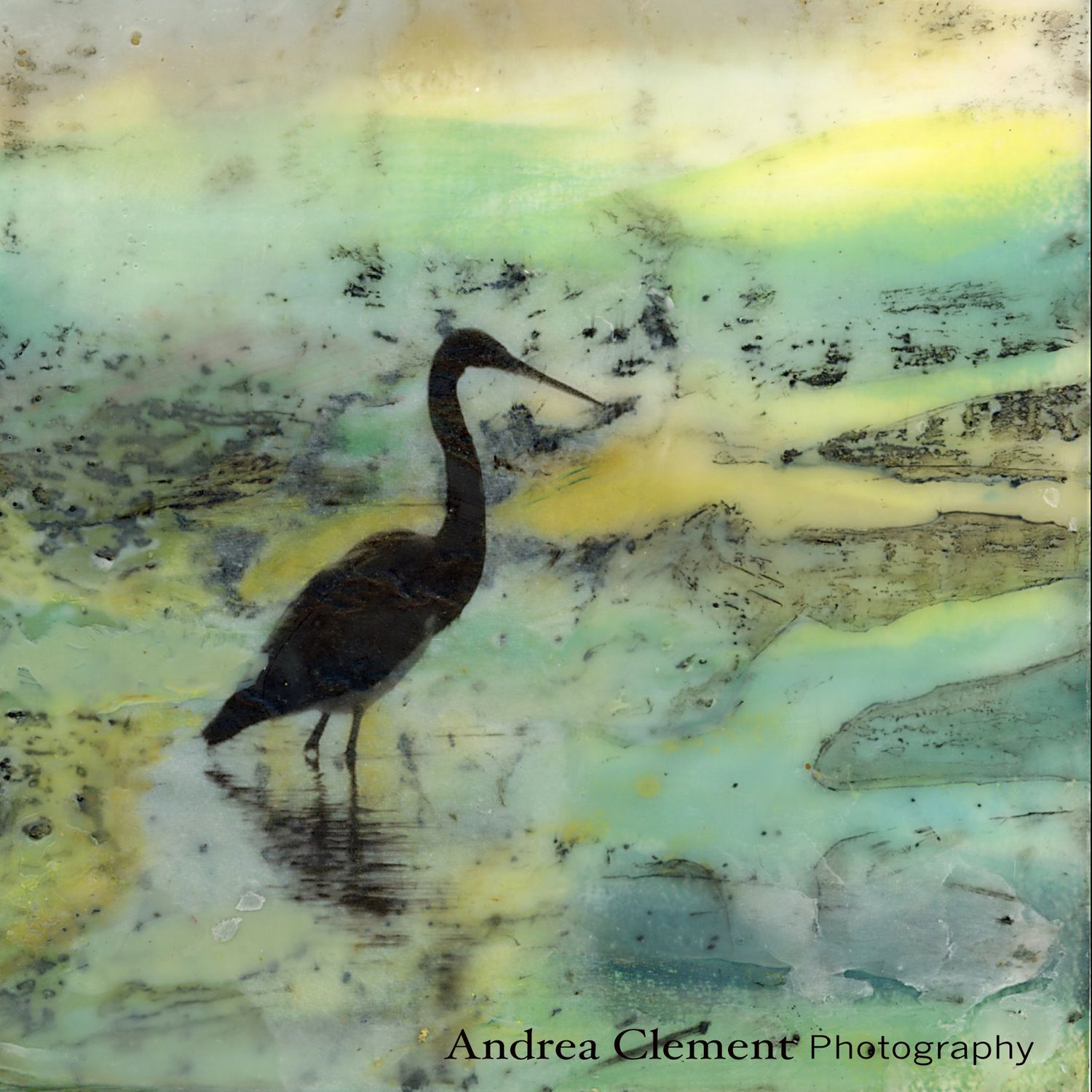 Photo Encaustics - Andrea Clement Photography