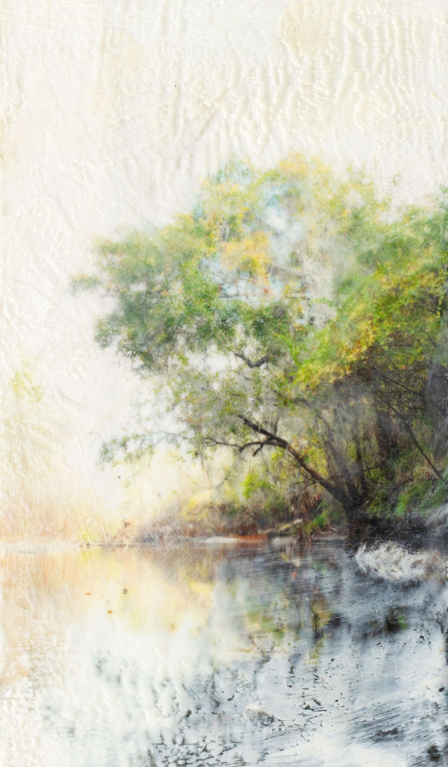 Photo Encaustics - Andrea Clement Photography