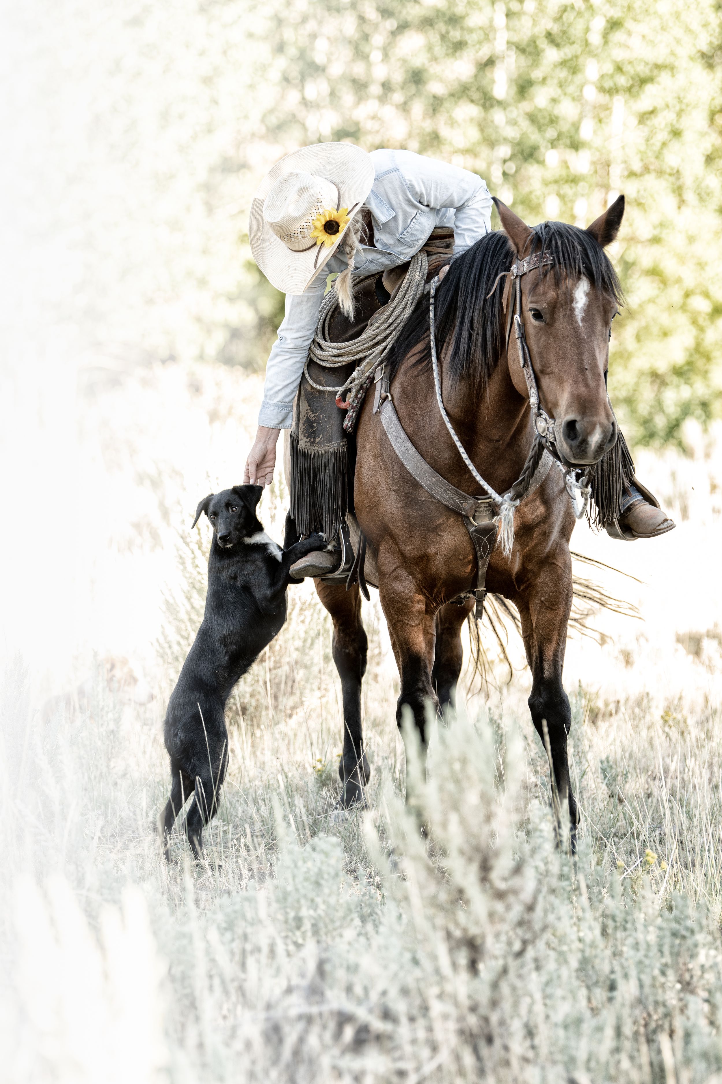 Patti Monson Photography