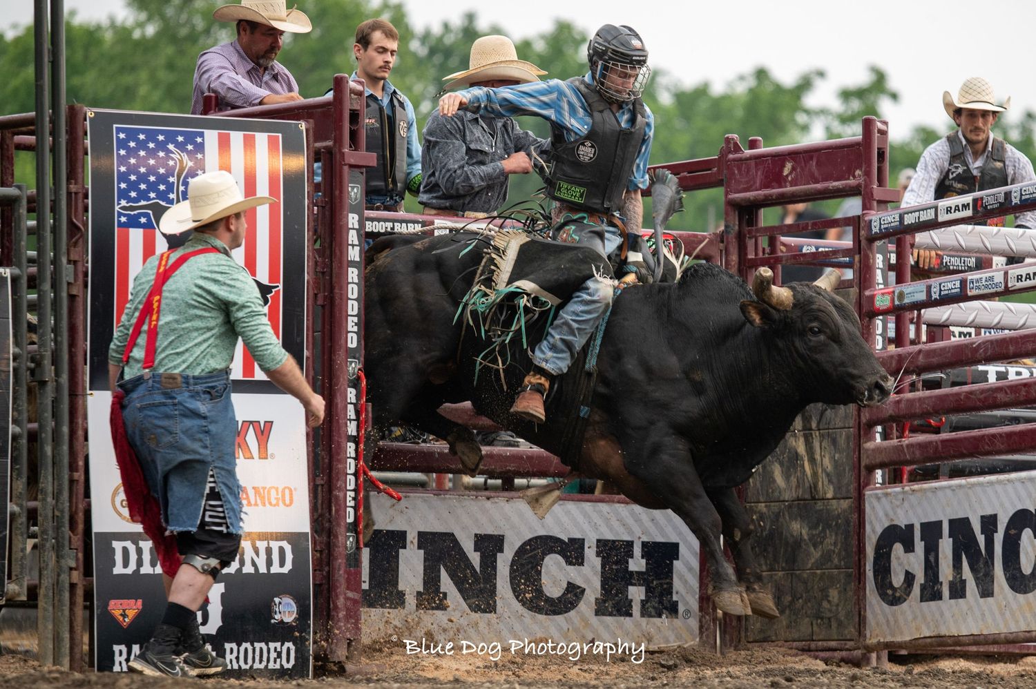 Blue Dog Photography