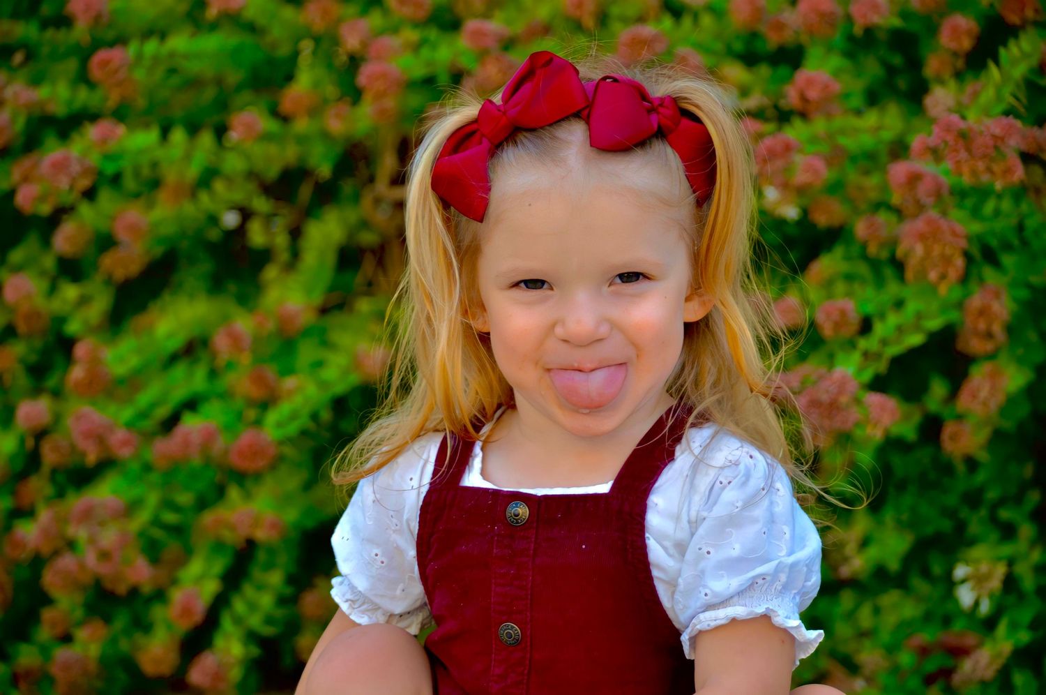 About Amber Weisbard Photography