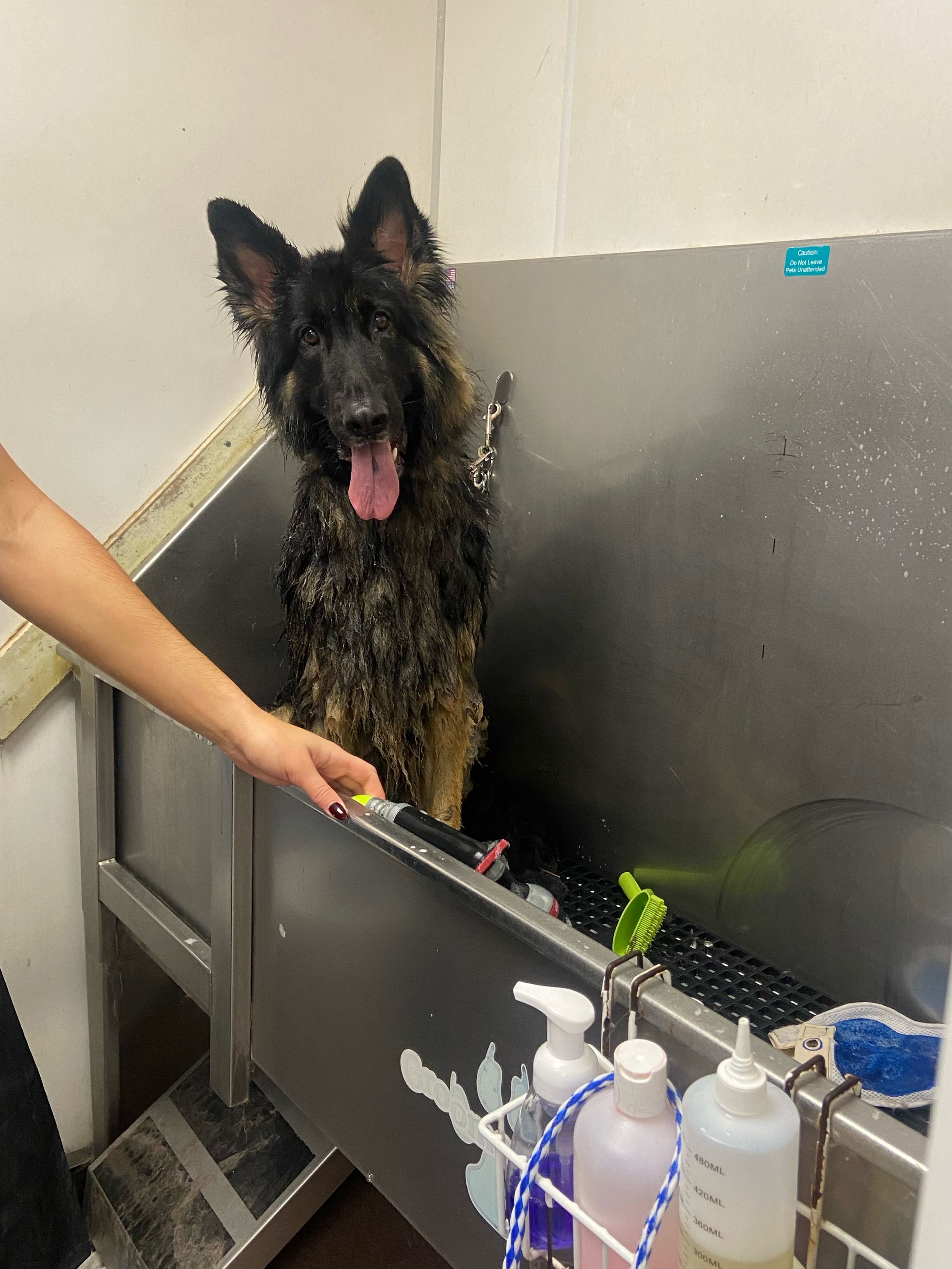 Bark Easy Pet Grooming