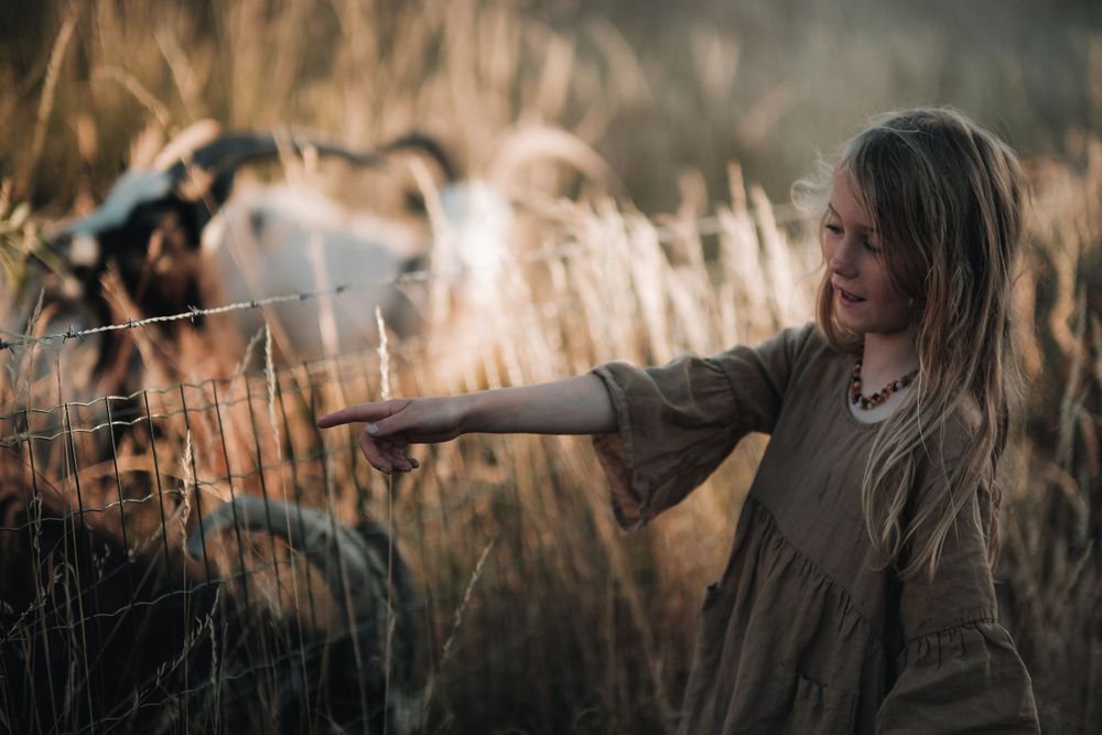 Lille Rødhette fotografi