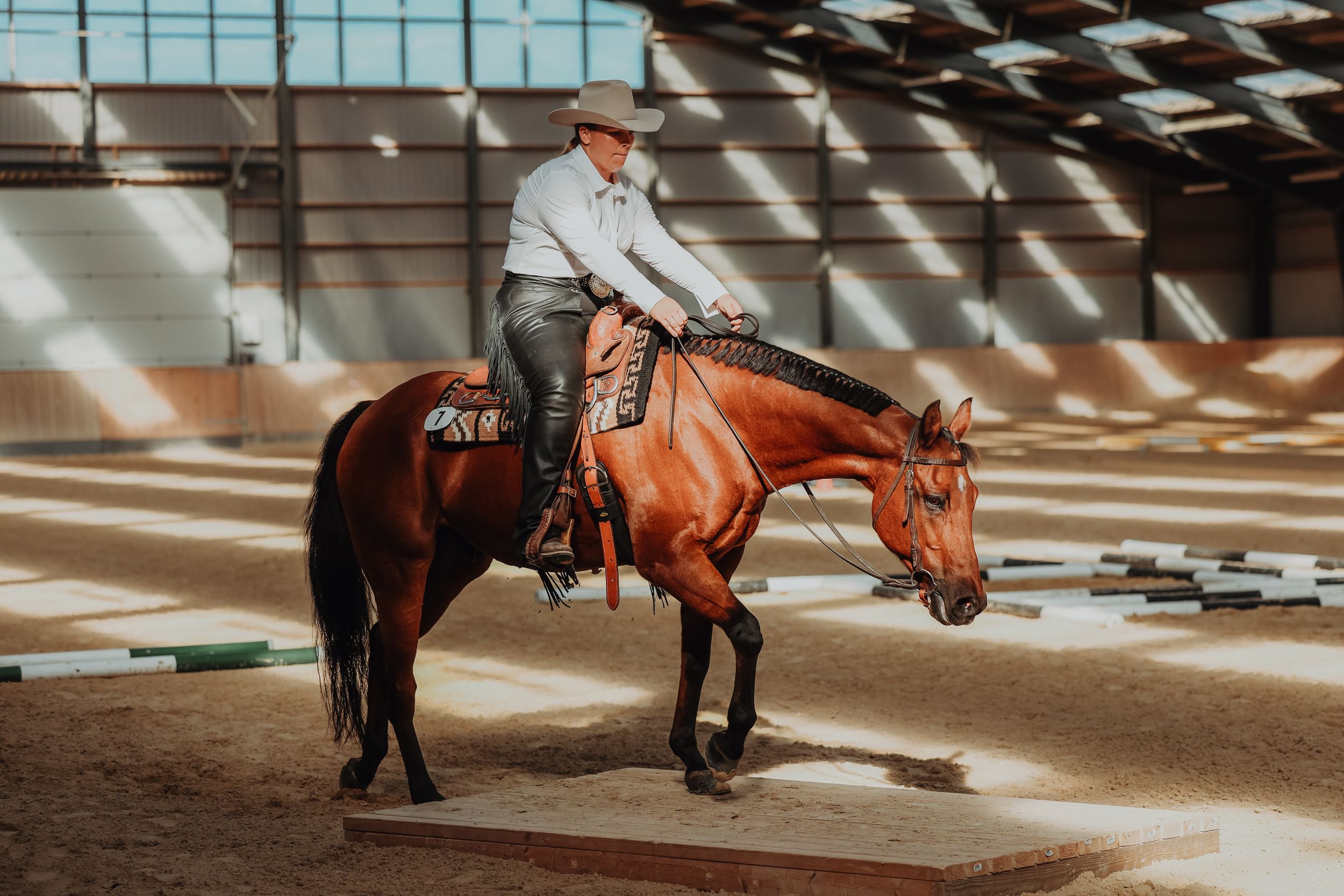 Dive with me into the western riding world - Anna Archinger | Horse ...