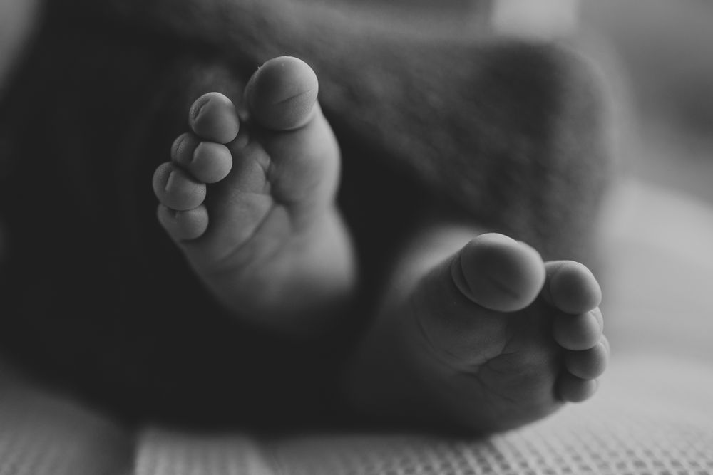 Portfolio - Earthside Photography