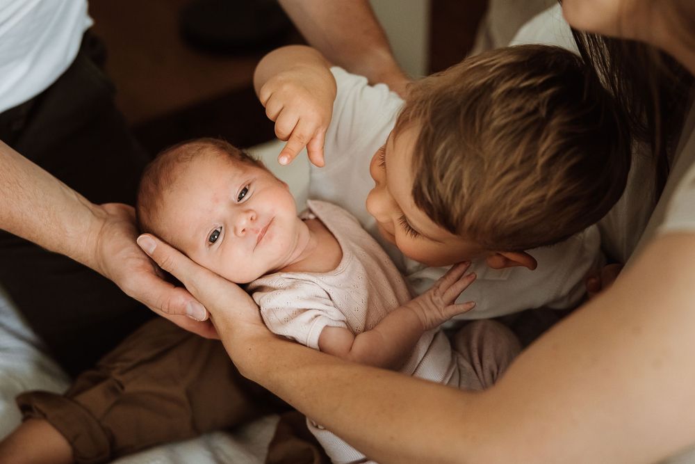 Portfolio - Earthside Photography