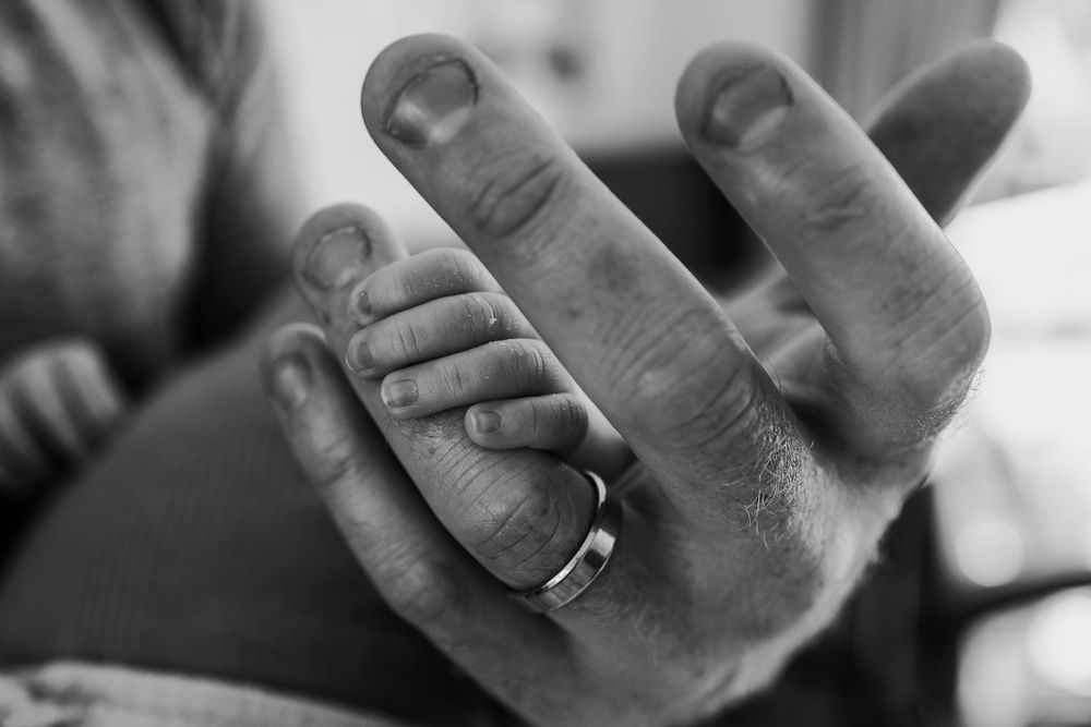 Portfolio - Earthside Photography