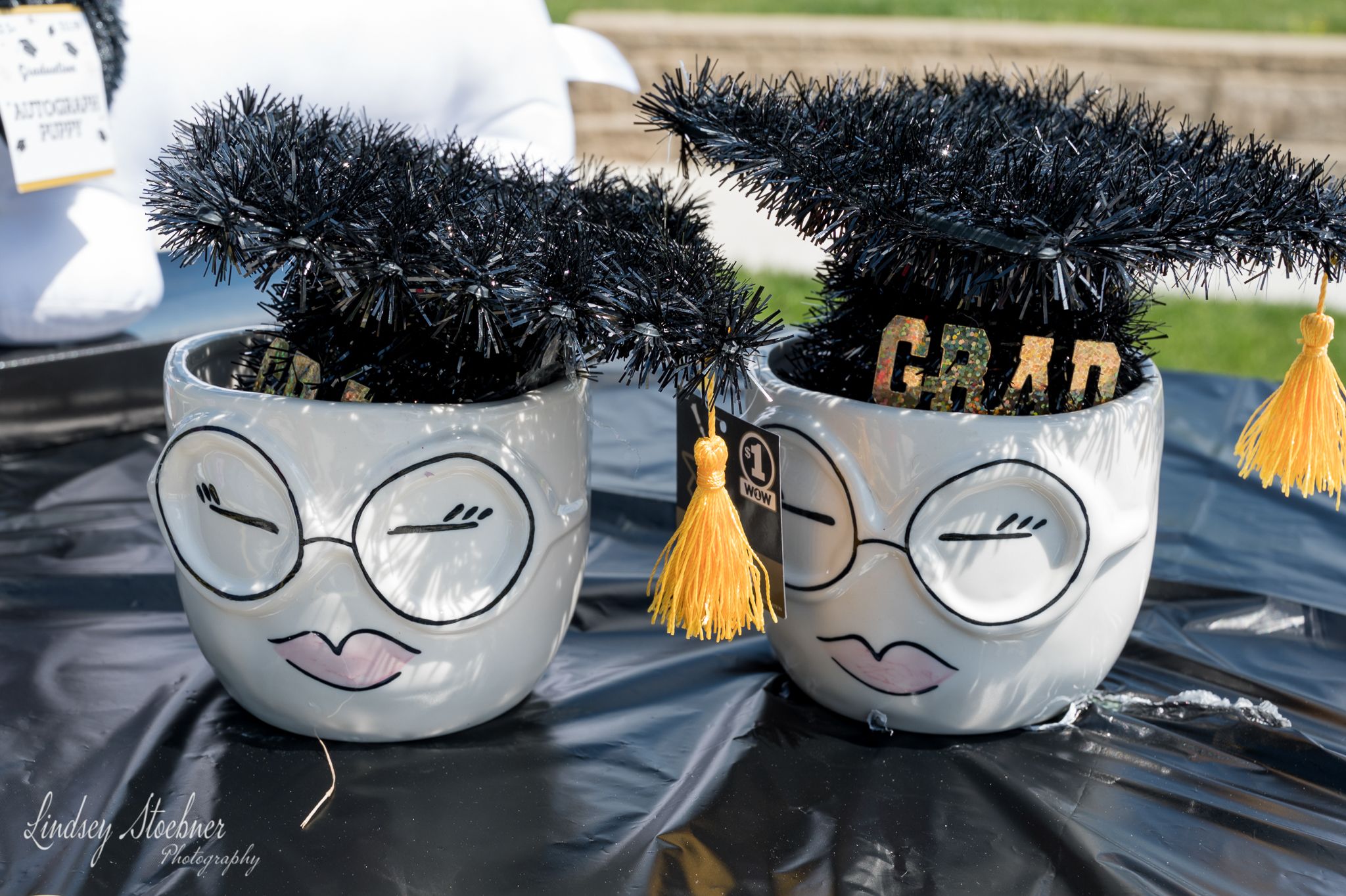 Dawn Graduation Party & Portraits Summer 2021 - Lindsey Stoebner ...