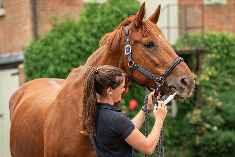 Westgate Labs X Hackett Equine - A Commercial Shoot - Holly Outtridge ...