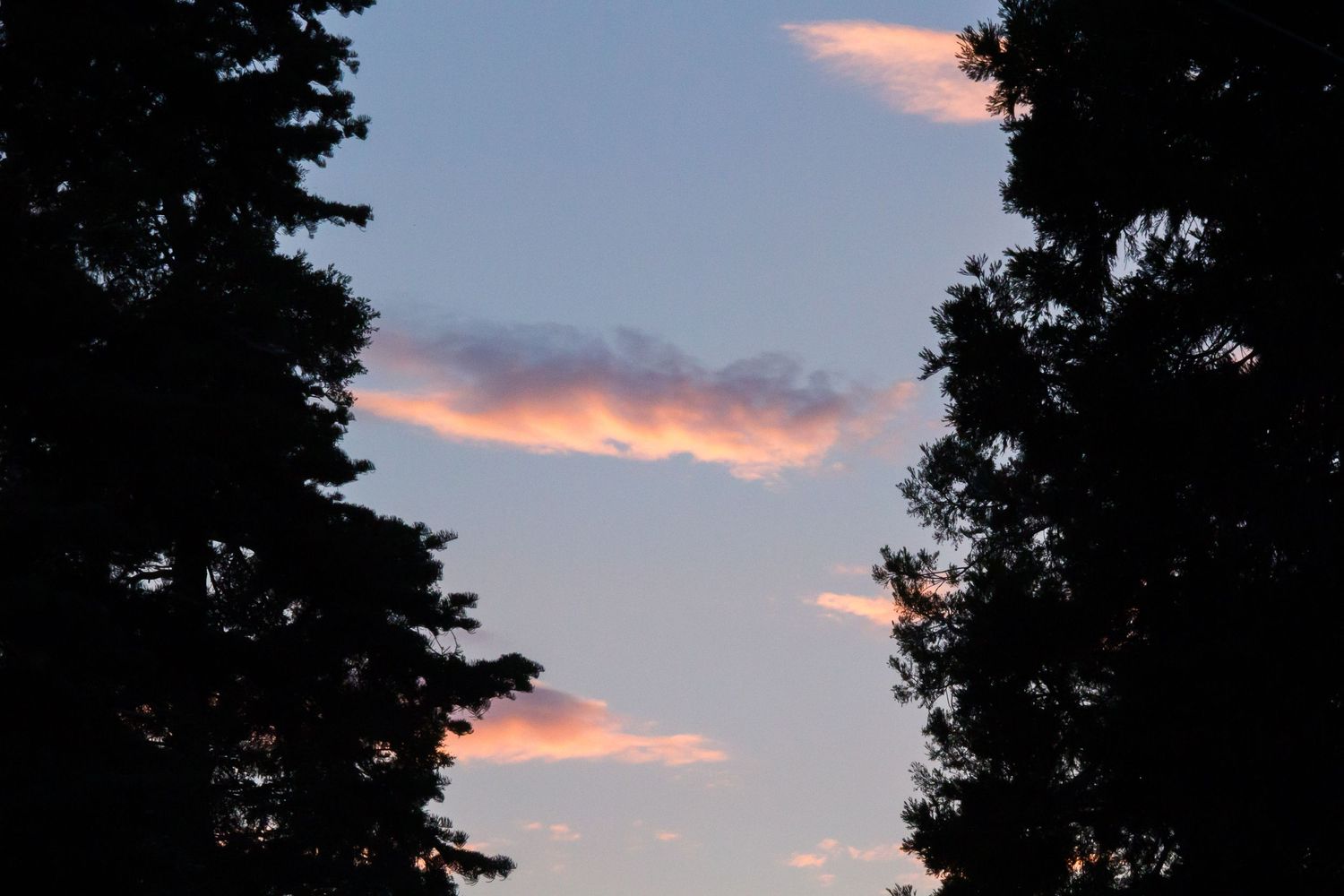 Contact - PB Productions, Inc.