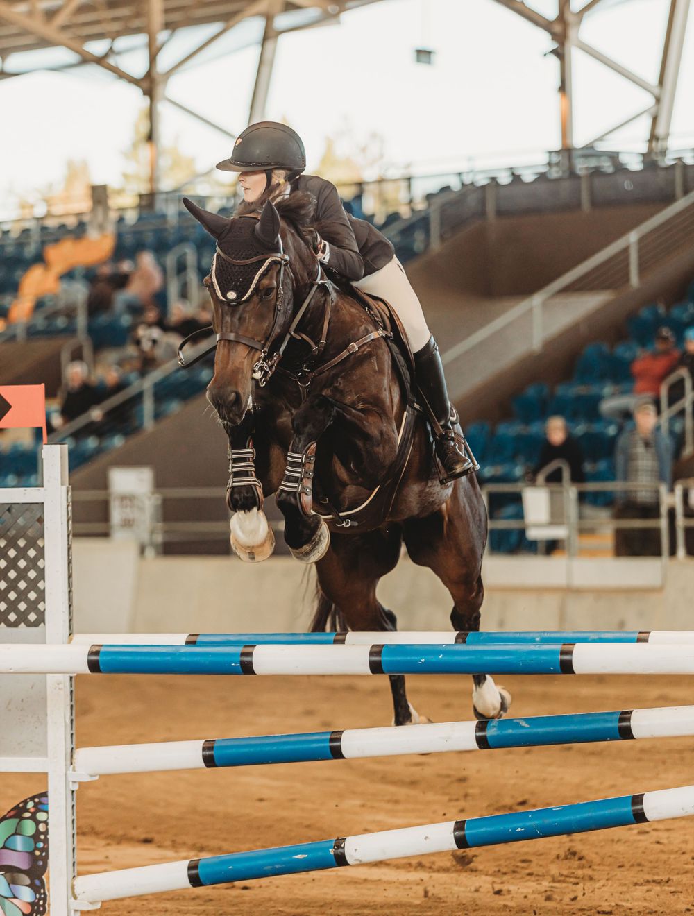 Festival of Showjumping - Caboolture World Cup 2022 - EquicoStudios