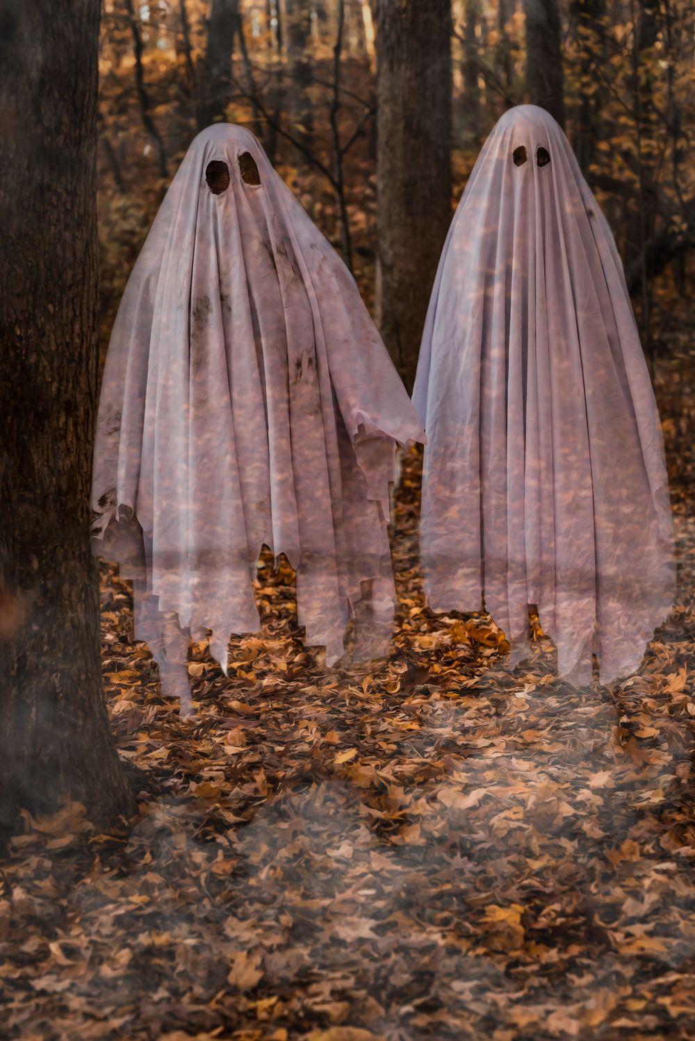 Spooky Shoots - Glass Wings Photography