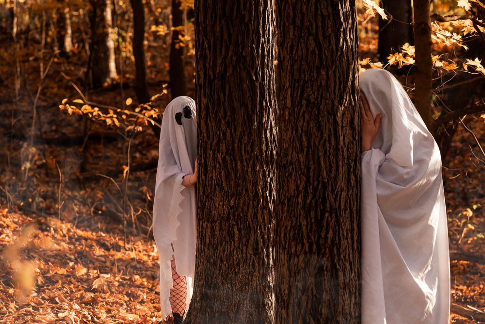 Spooky Shoots - Glass Wings Photography