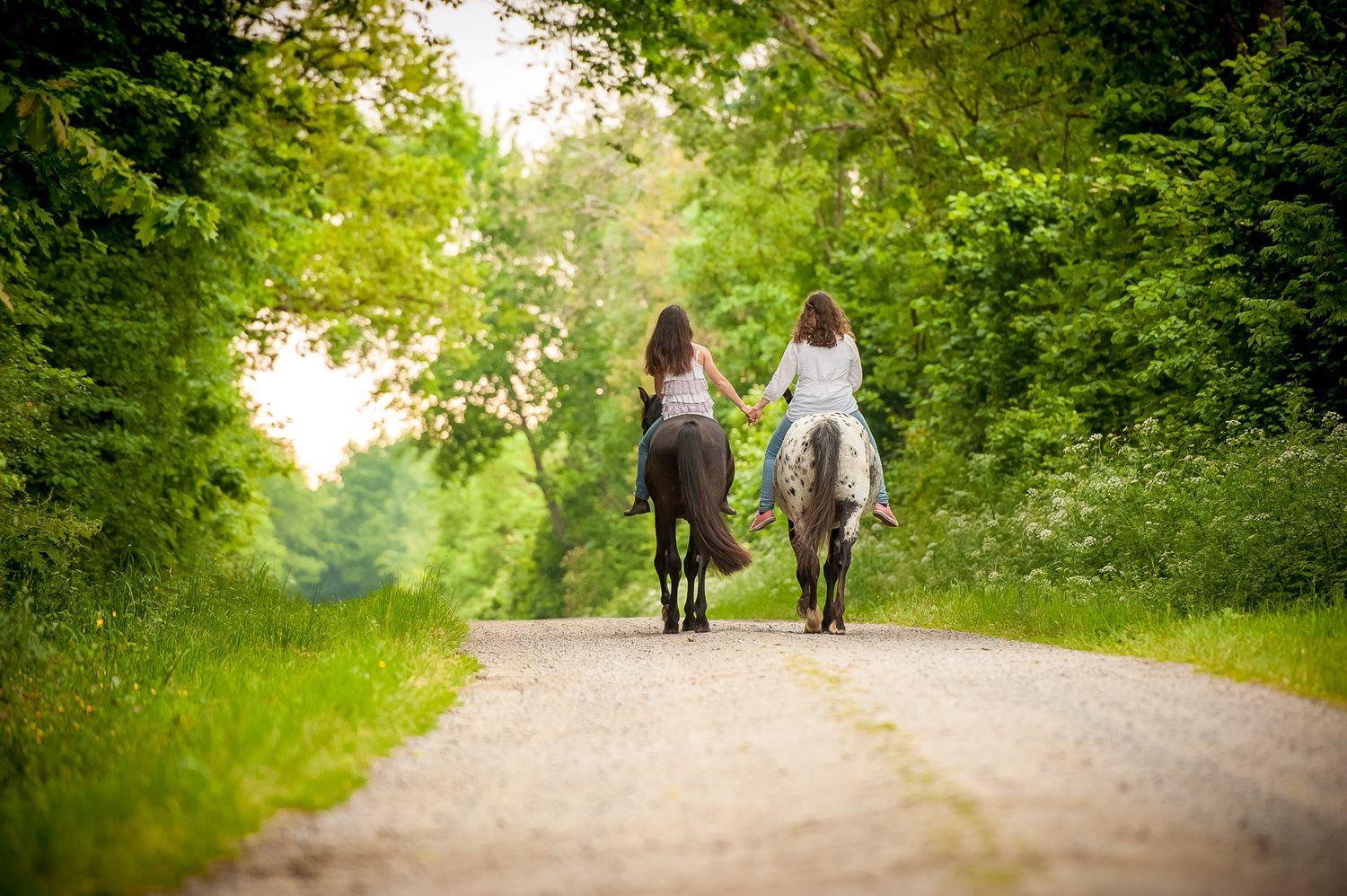 Offres - Horses' Art - Elsa MEIER