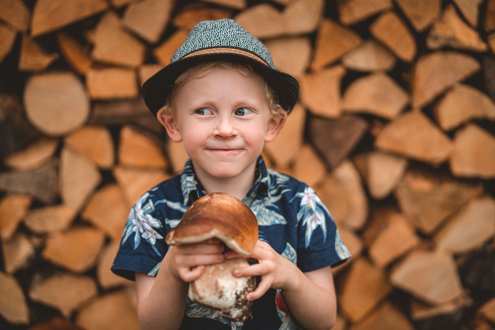 The Grizzly Forager: The Definitive Guide to Foraging with Kids