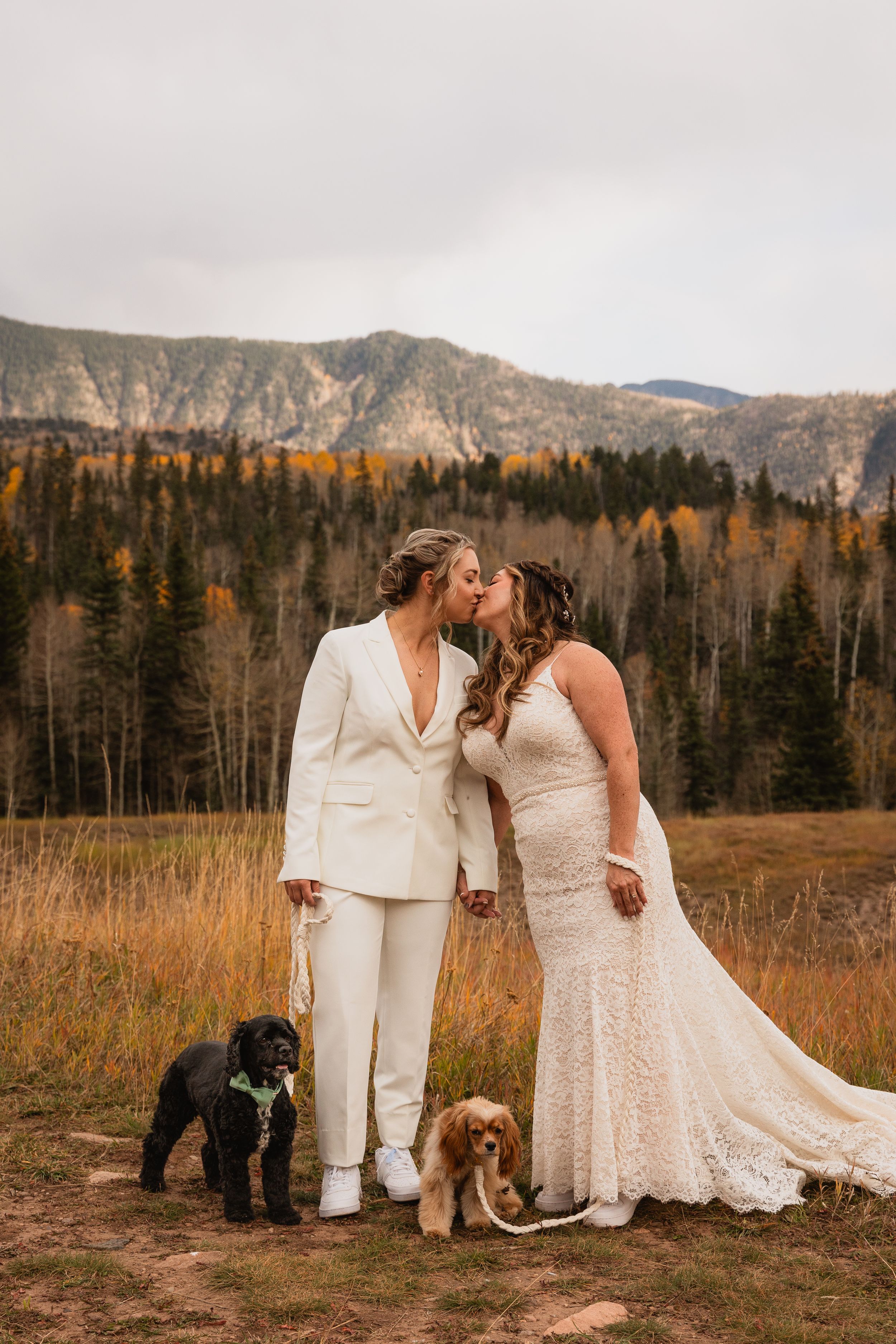 How To Include Your Pets at Your Elopement When They Can't Join You ...