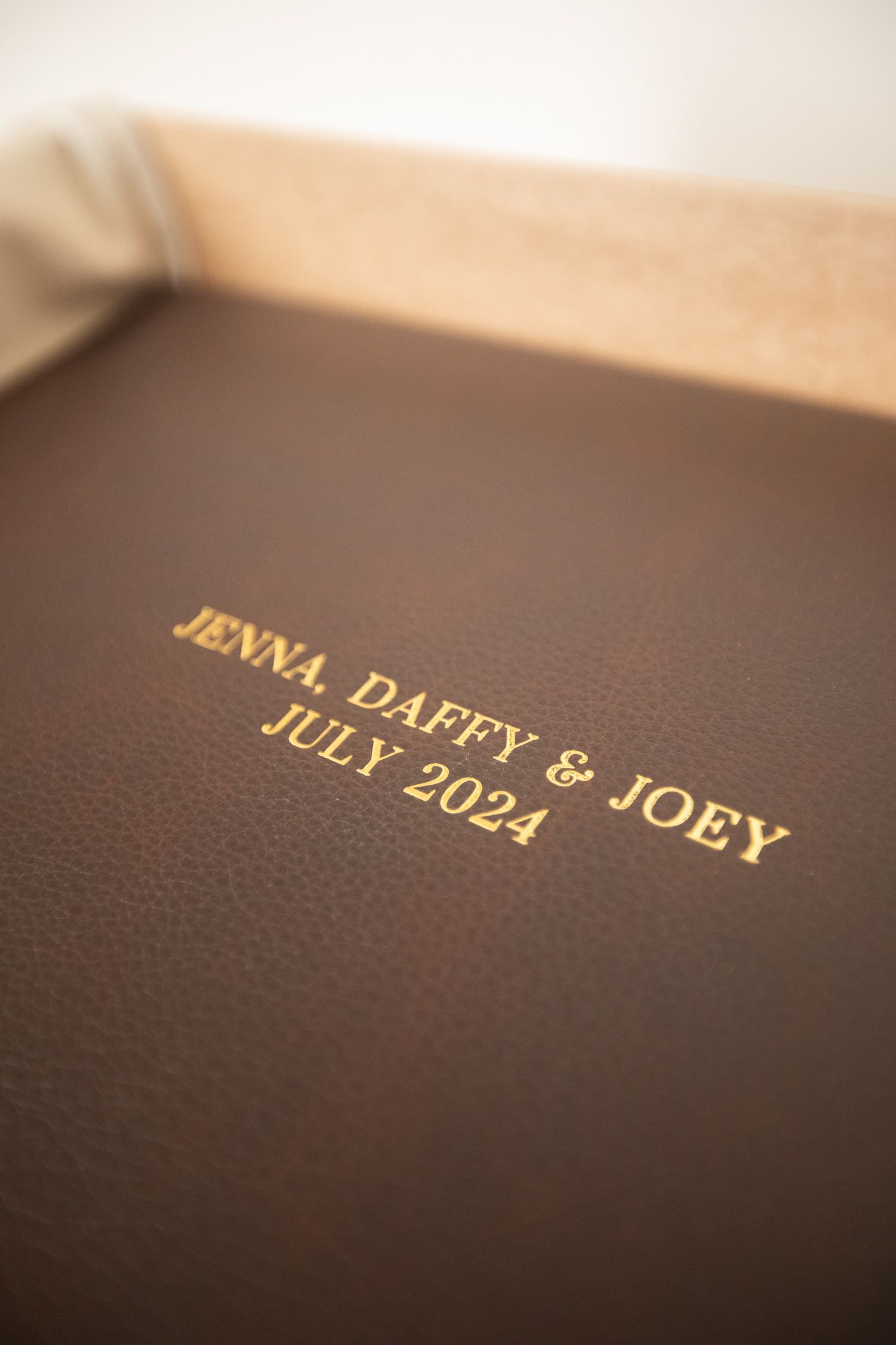 The Perfect Heirloom - My Brand New Album - Imogen Moon ABIPP - Equine ...