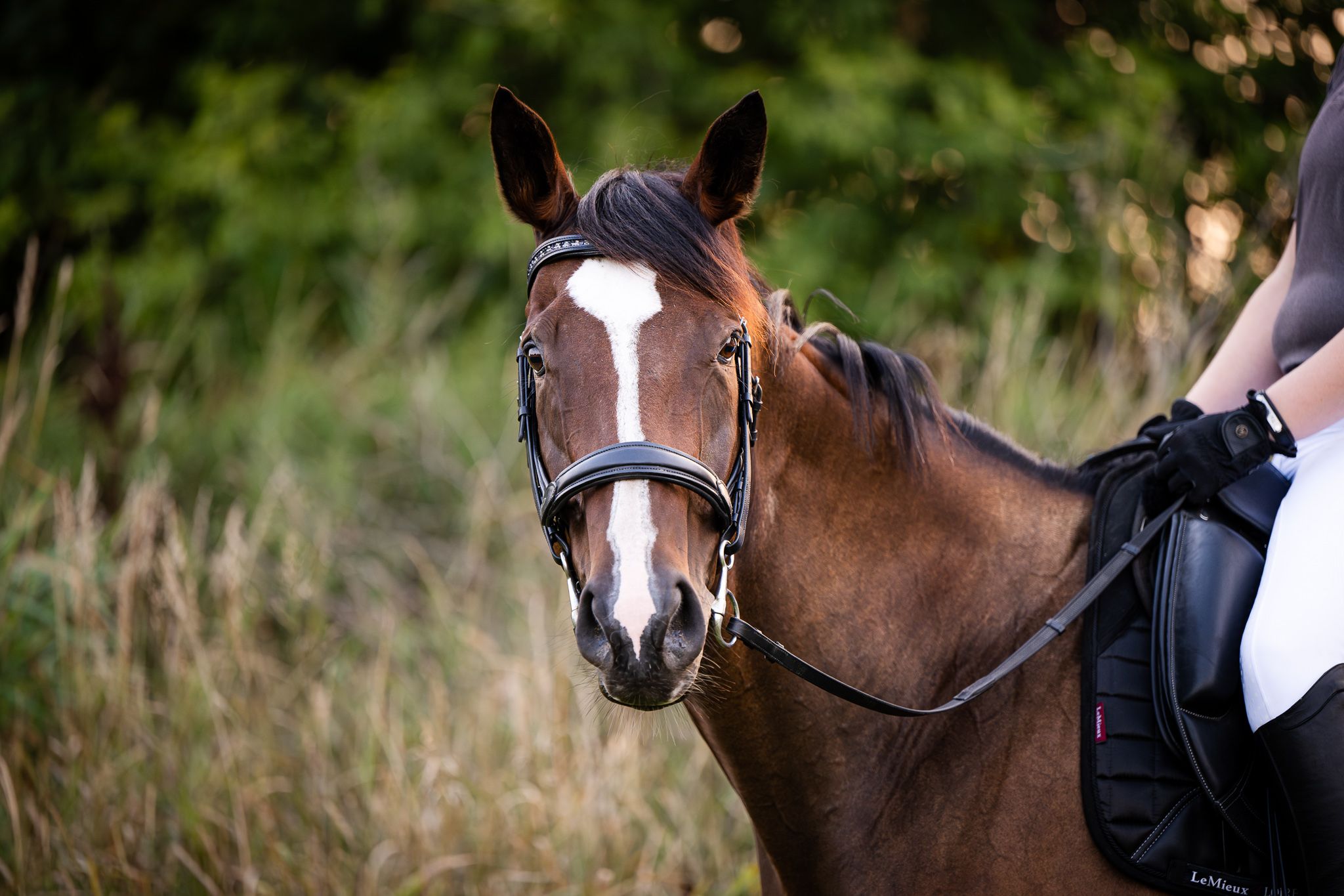 Horse & Rider Photography - Portrait & equine photography in Neenah, WI ...