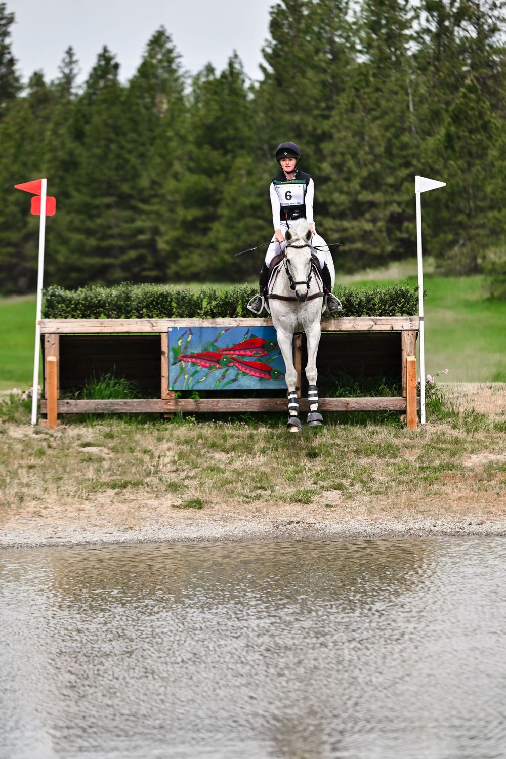 Ashley Kemp Photography