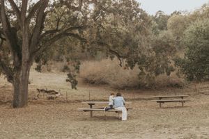 Portfolio | Wedding Photographer in Santa Barbara, California