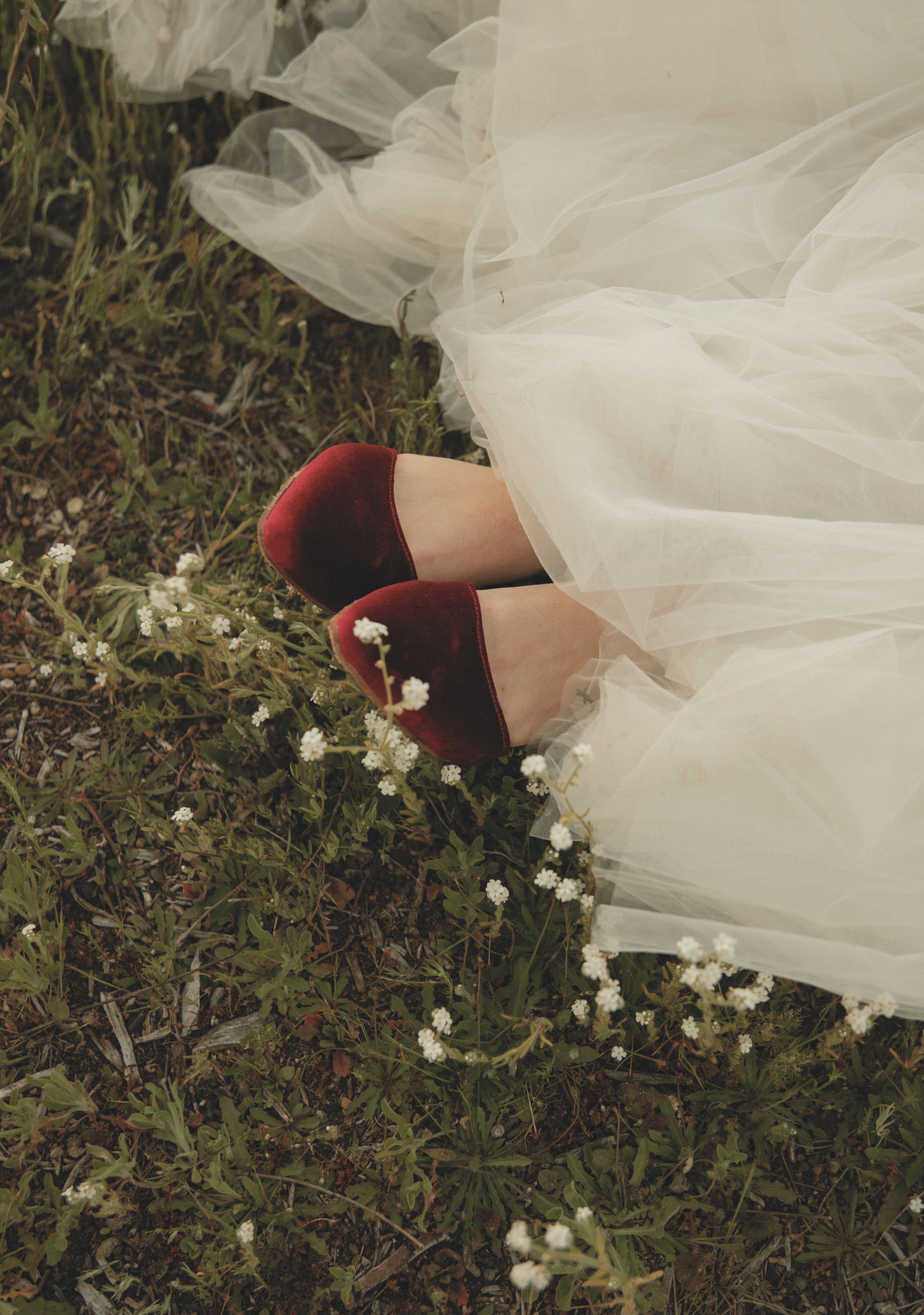 Portfolio | Wedding Photographer in Santa Barbara, California